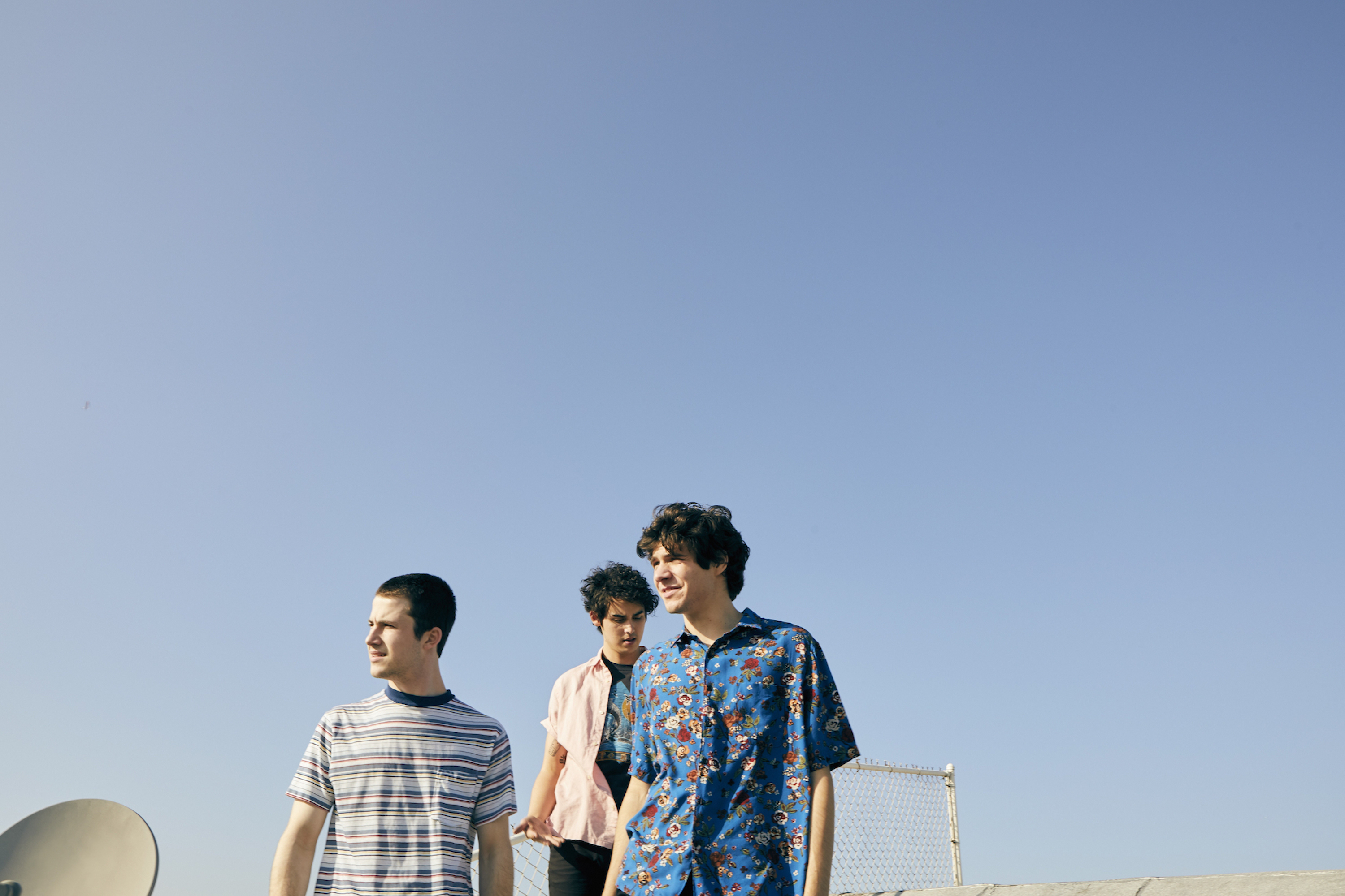 Wallows - Notion