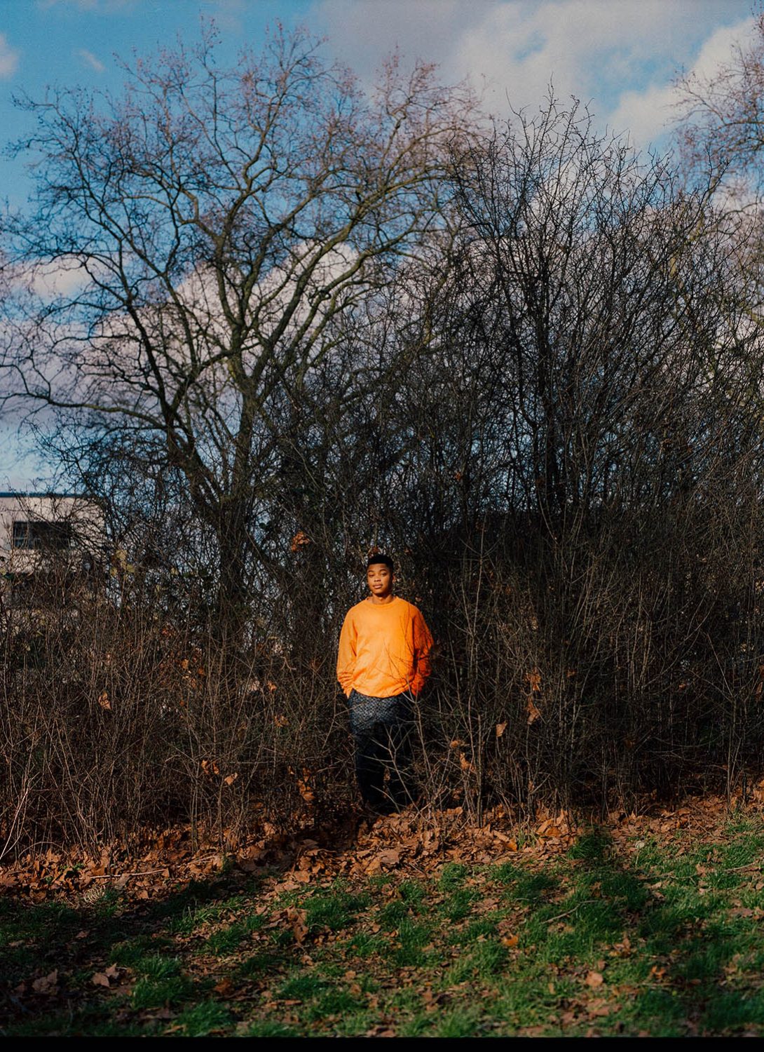 The Mason Maynard Effect - Notion