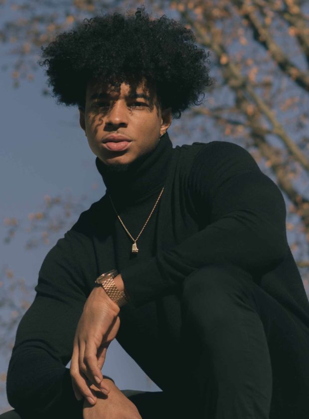 "Fiesta" by Denzel Wilson - Notion