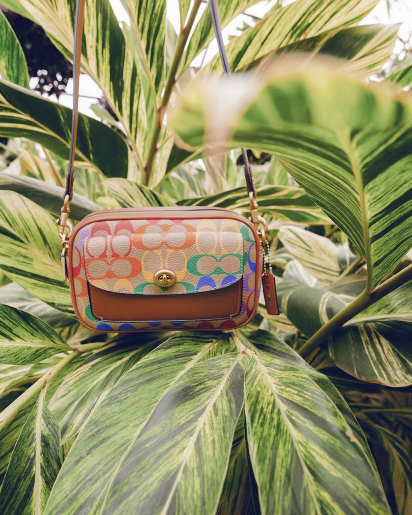 Coach Shares “Pride Is Where You Find It” Collection - Notion