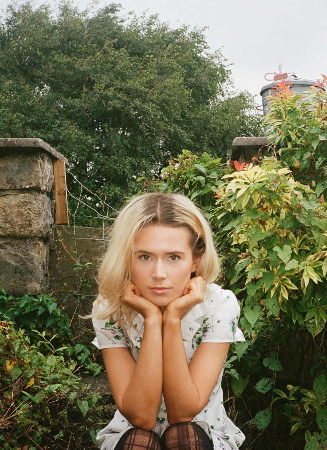 Fresh Face Hana Lili Notion