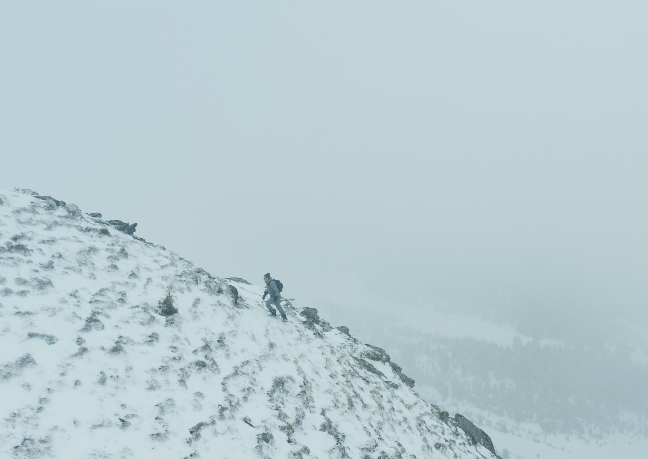 "1 of 1" by ION | Notion Magazine